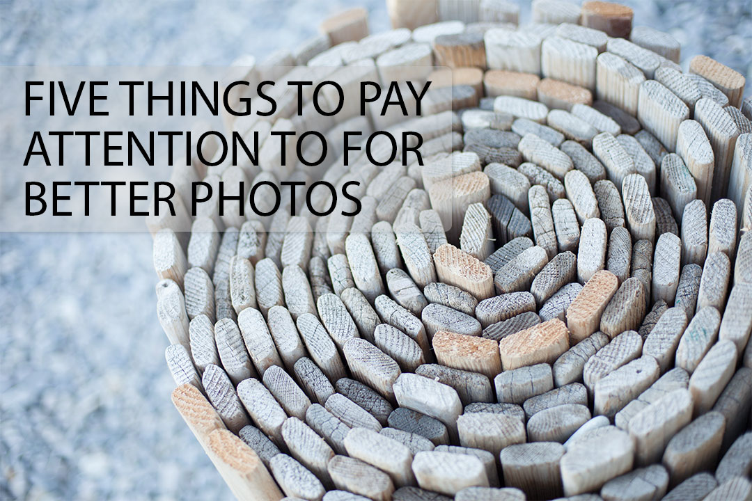 Five things to pay attention to for better photos | Discover Digital ...