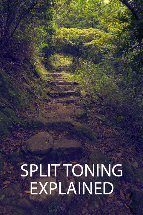 Split Toning Explained | Discover Digital Photography
